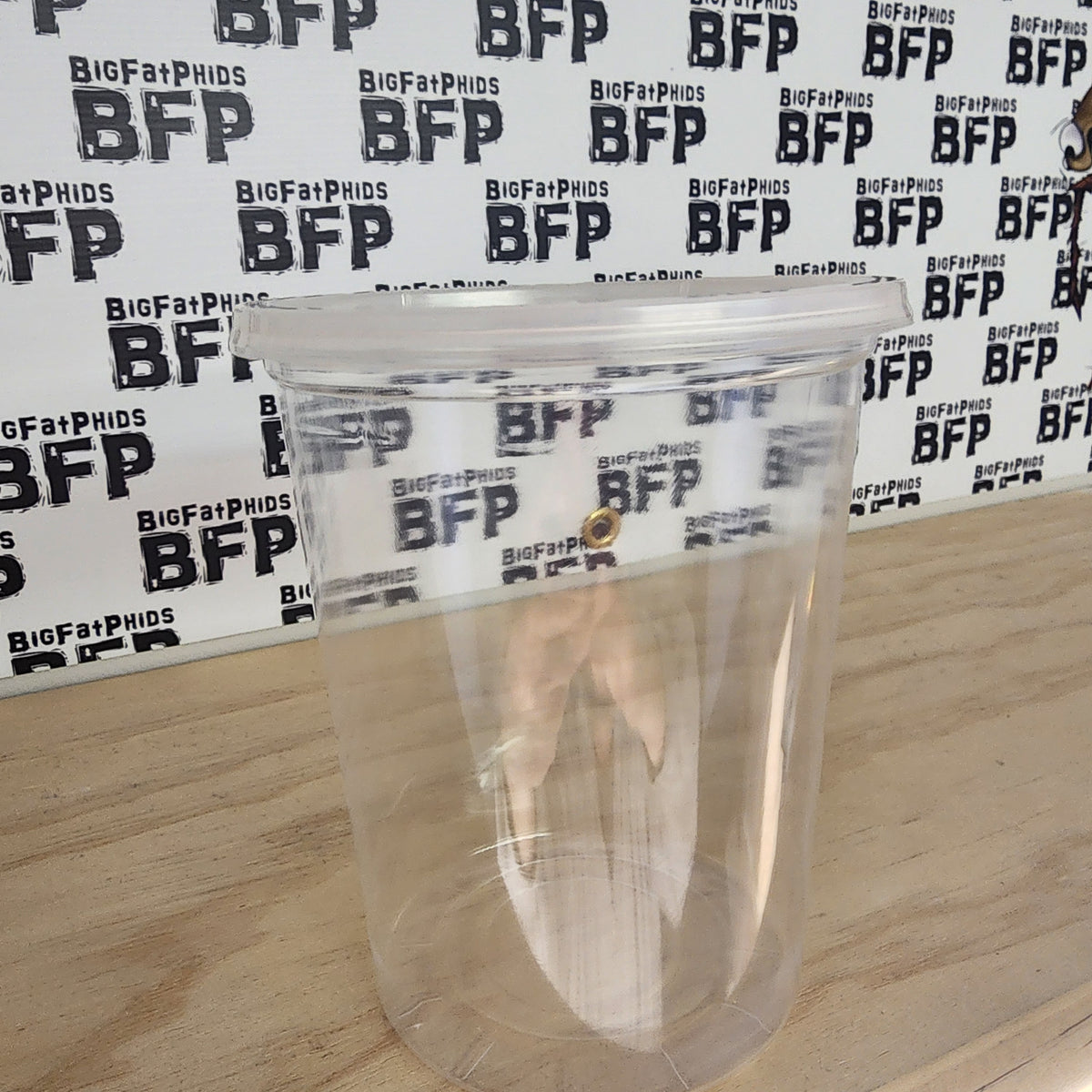 32oz Fruit Fly Culture Cup with Poly Fabric Lid | BigFATPhids