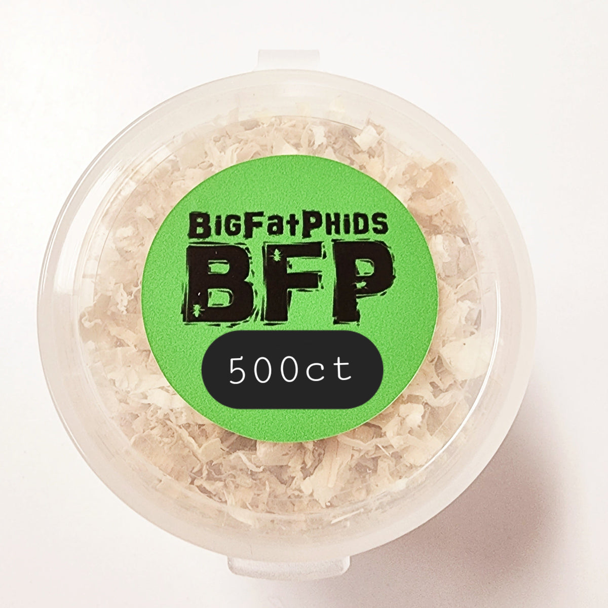 Blue Bottle Larvae/Pupae 500ct – BigFATPhids